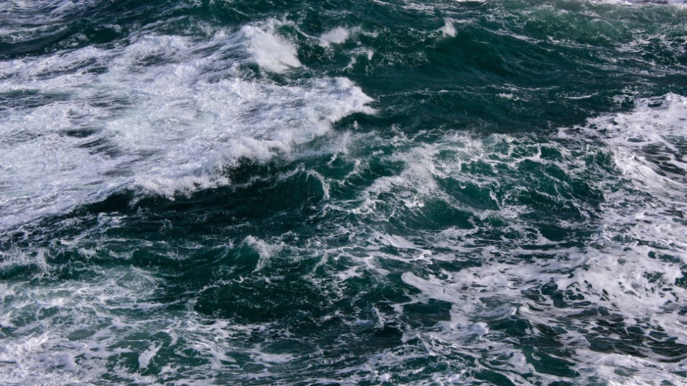 Seas and Oceans | WFUV
